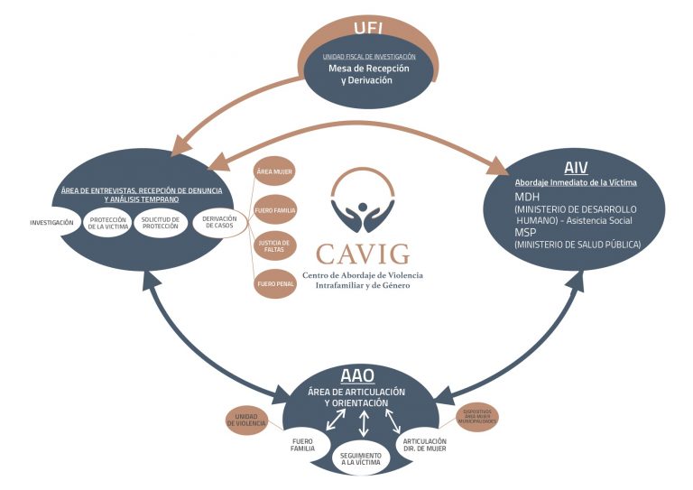 CAVIG – Como funciona | Poder Judicial de San Juan